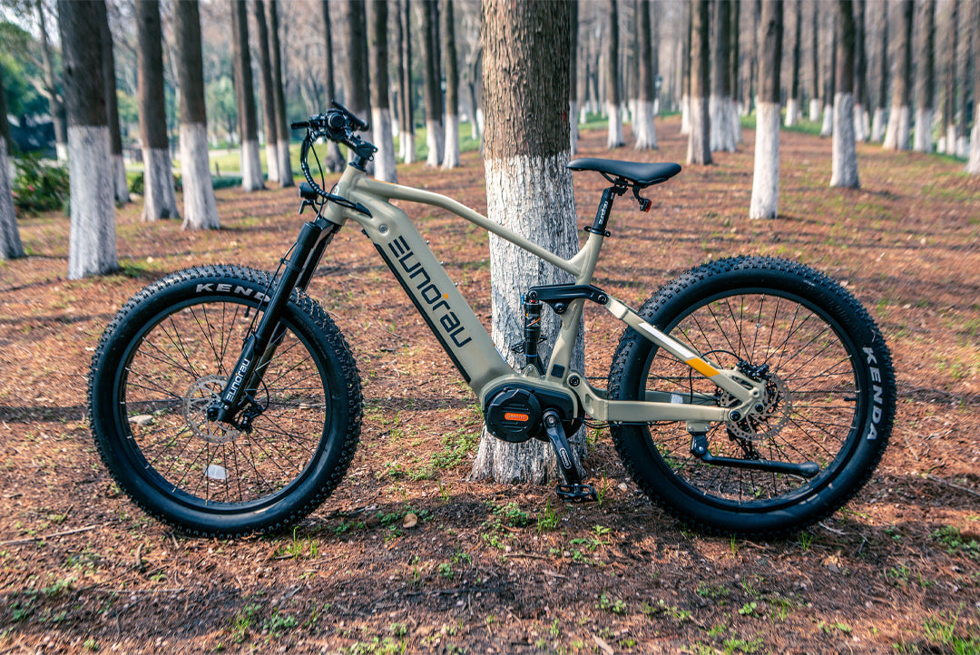 EUNORAU SPECTER-S 3.0 | Full Suspension Fat Tire Electric Bike